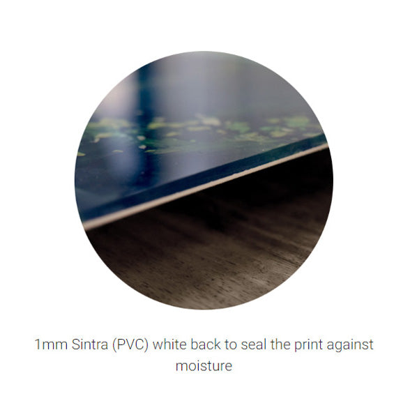 All Creation Sings - Acrylic Wall Art (Acrylite) – MerchHeaven